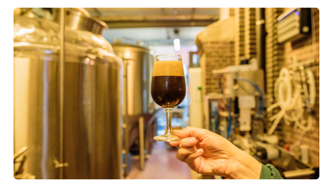 Beer tasting Amsterdam, with beer guide, 5 tasting glasses and snacks!